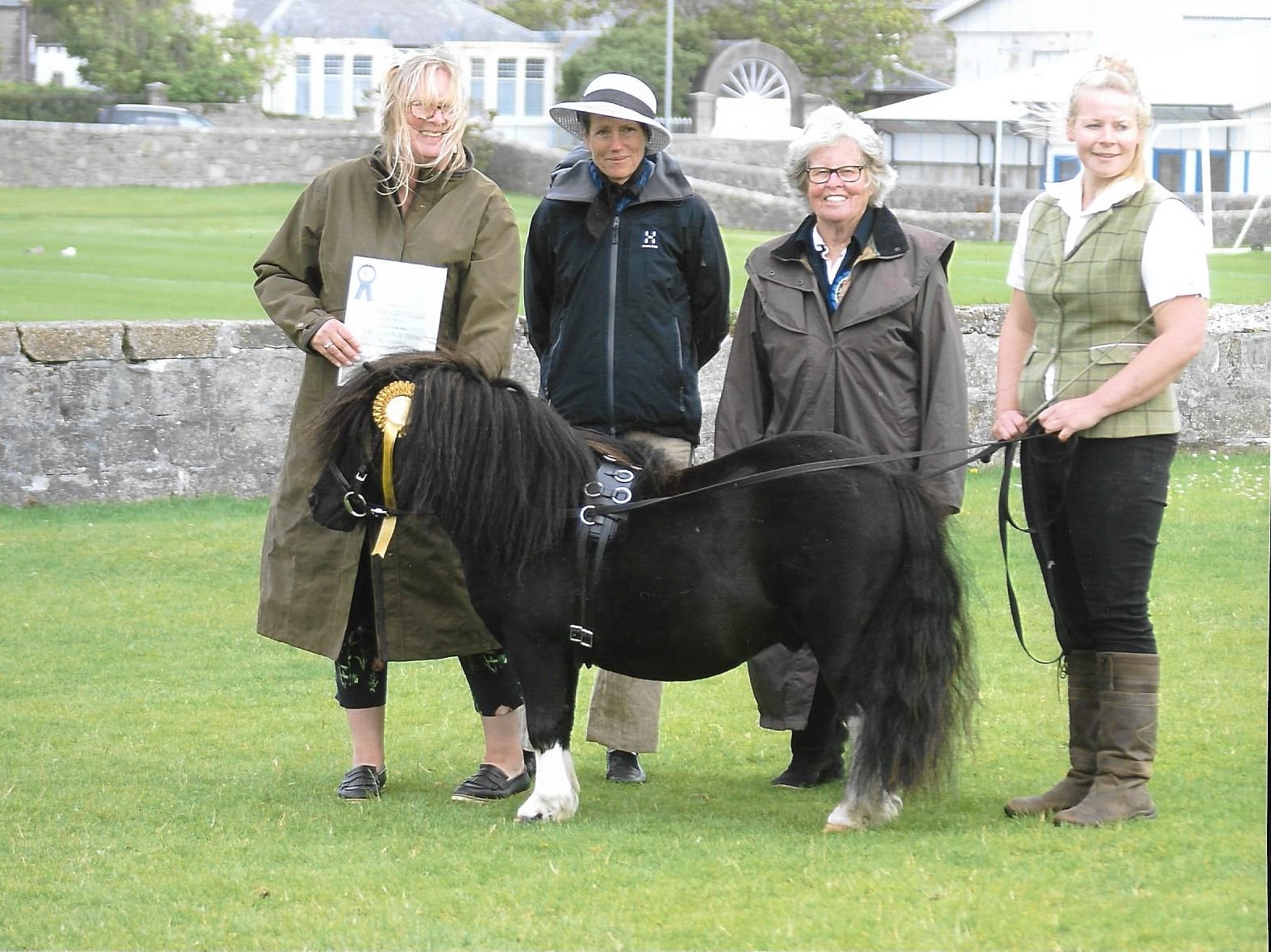 Shetland Pony Evaluation Scheme | Pony Breeders of Shetland Association