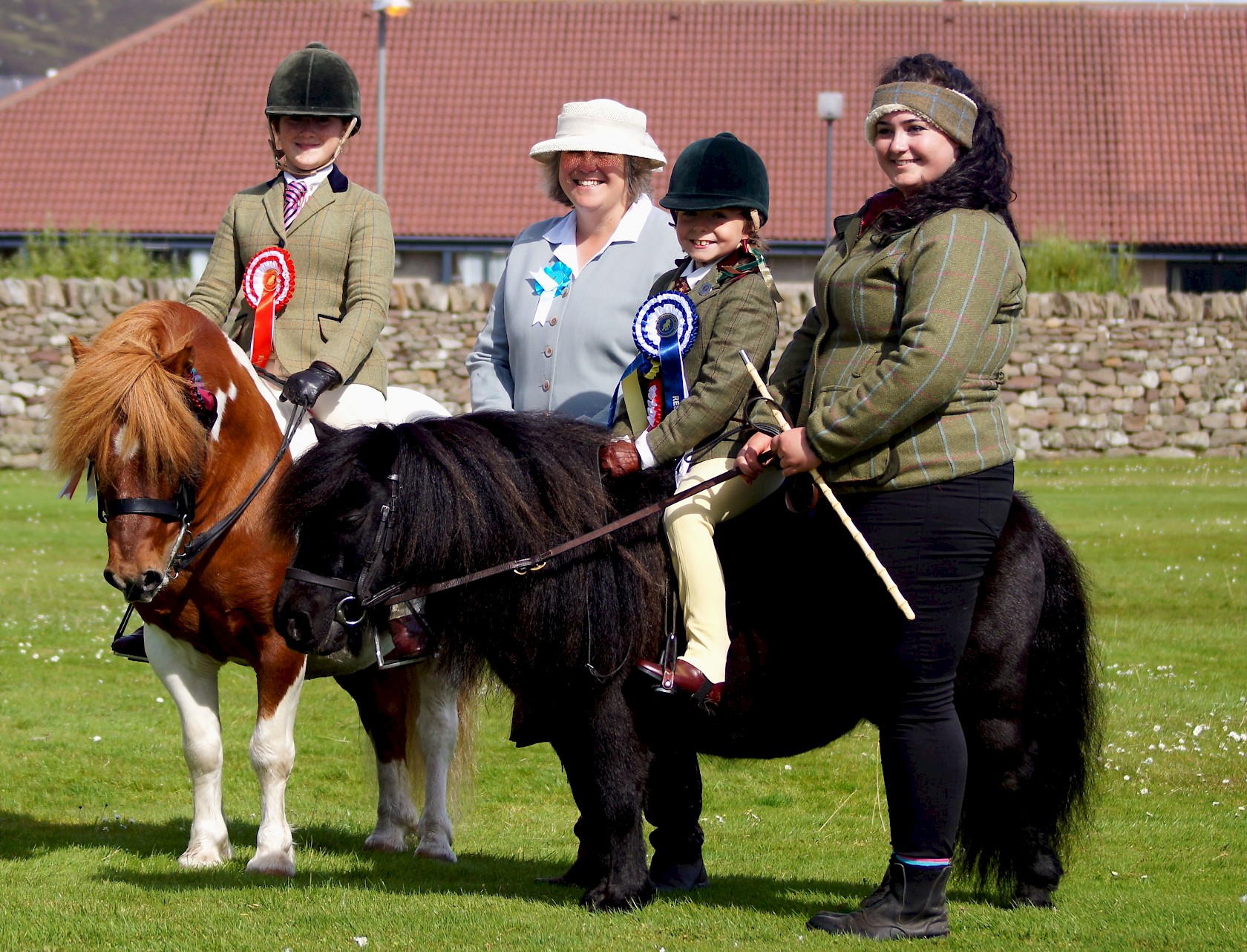 Viking 2015 | Pony Breeders of Shetland Association