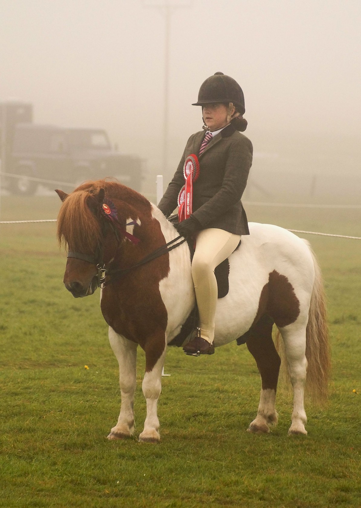 Viking Show 2016 - 25th Anniversary | Pony Breeders of Shetland Association