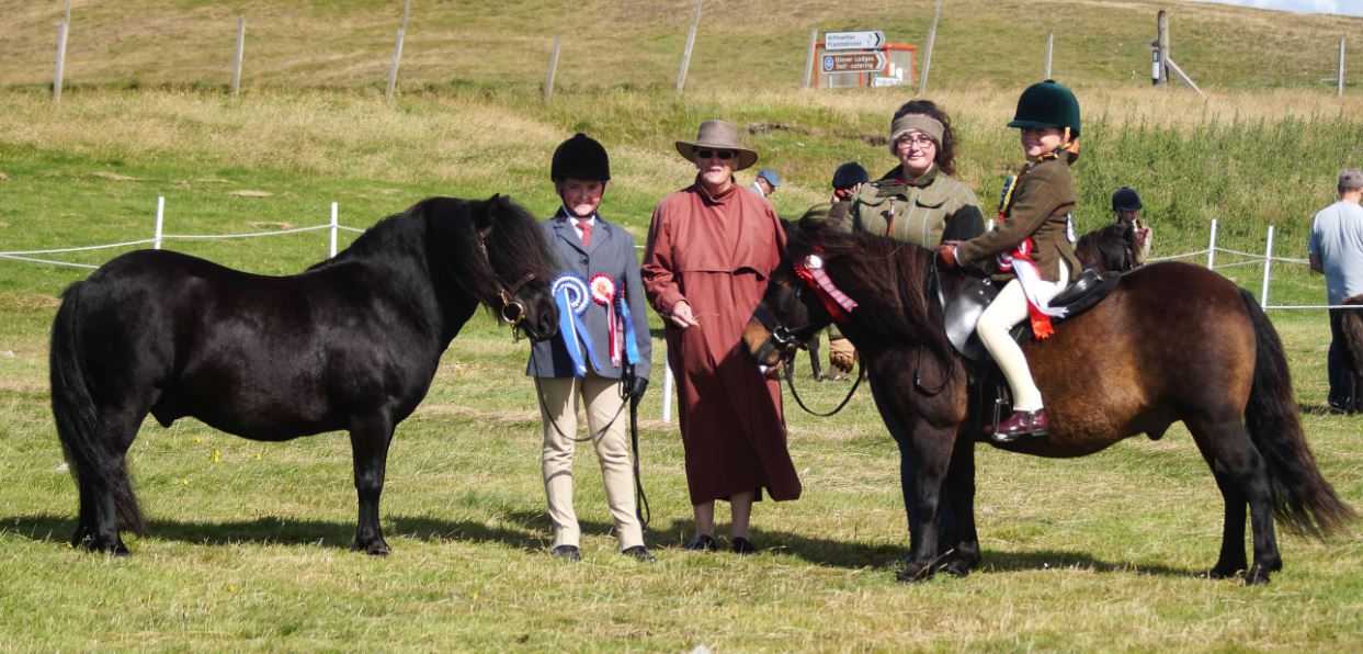Viking Show 2017 | Pony Breeders of Shetland Association