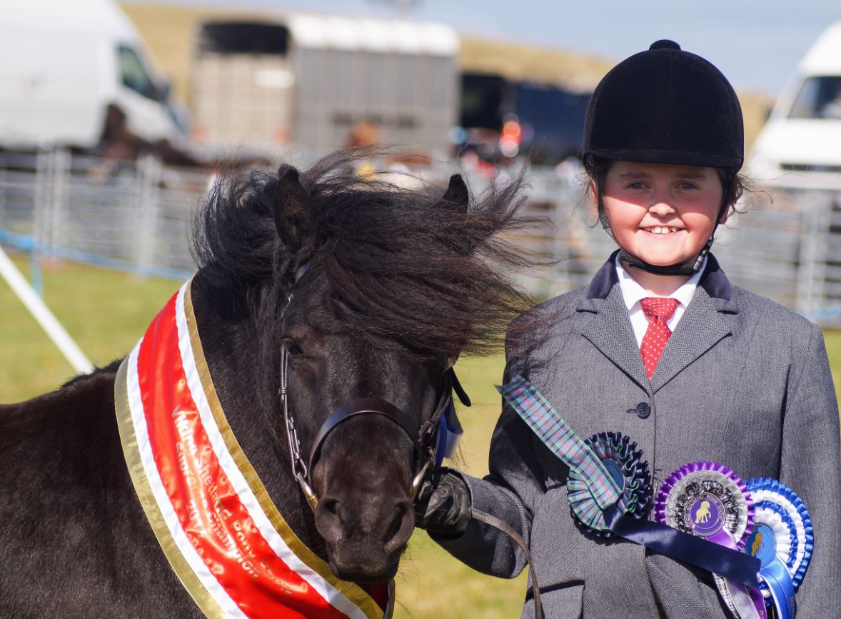 Viking Show 2017 | Pony Breeders of Shetland Association