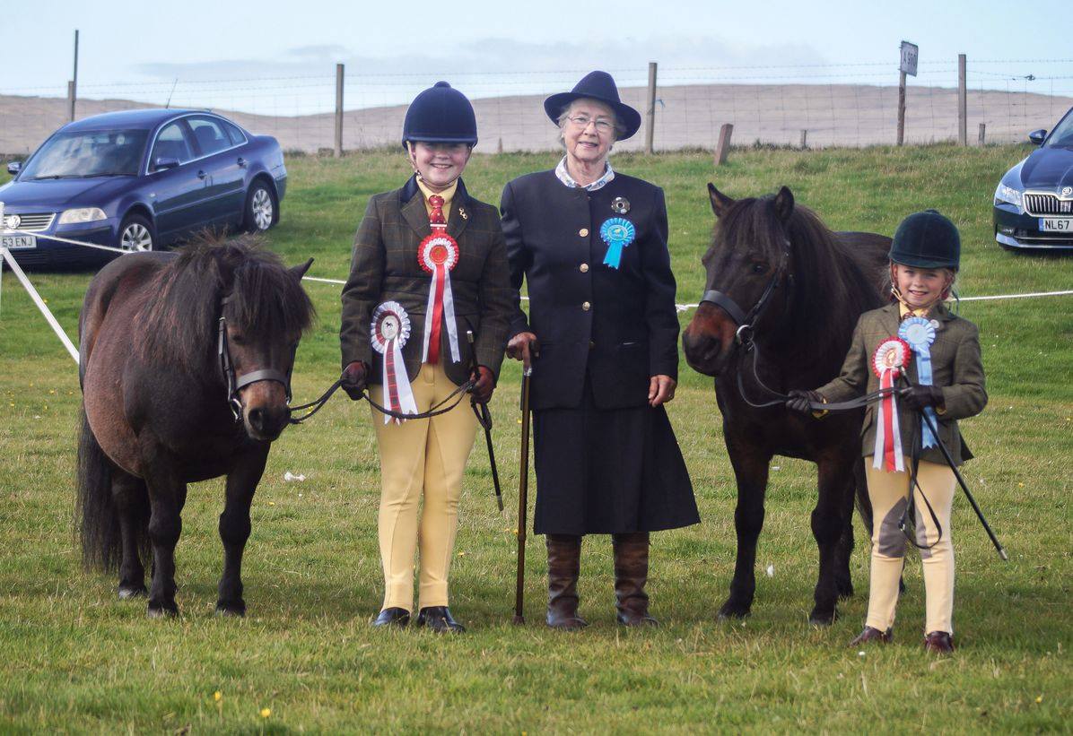 Viking Shetland Pony Show 2018 | Pony Breeders of Shetland Association
