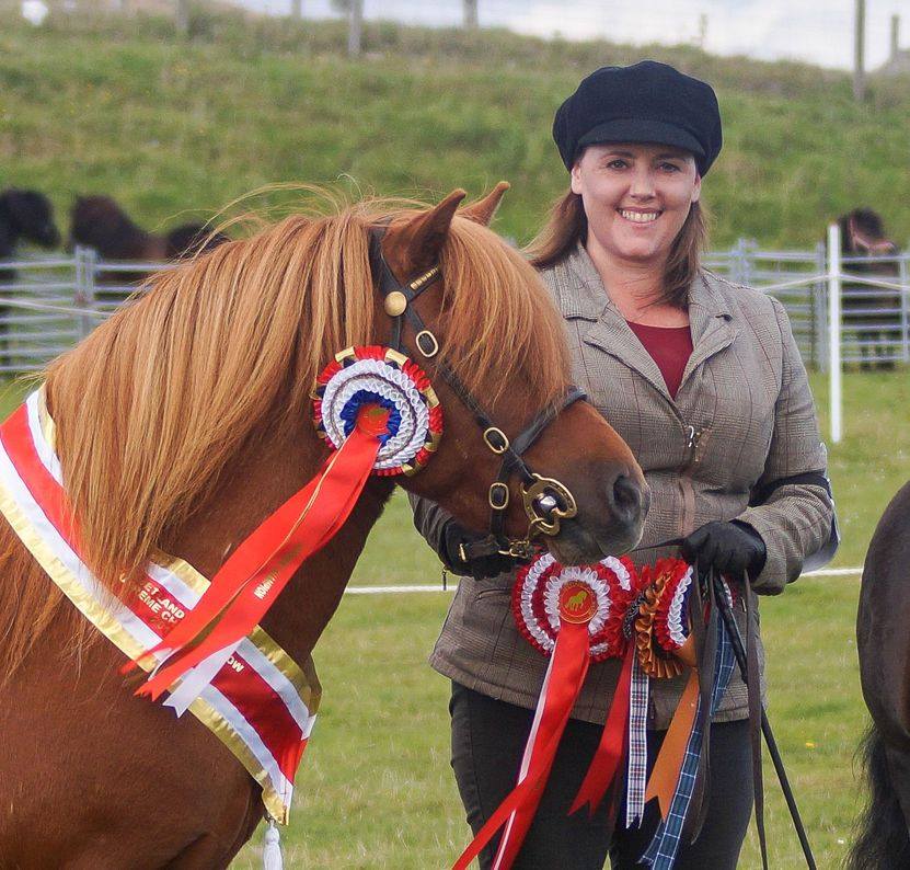 Viking Shetland Pony Show 2018 | Pony Breeders of Shetland Association
