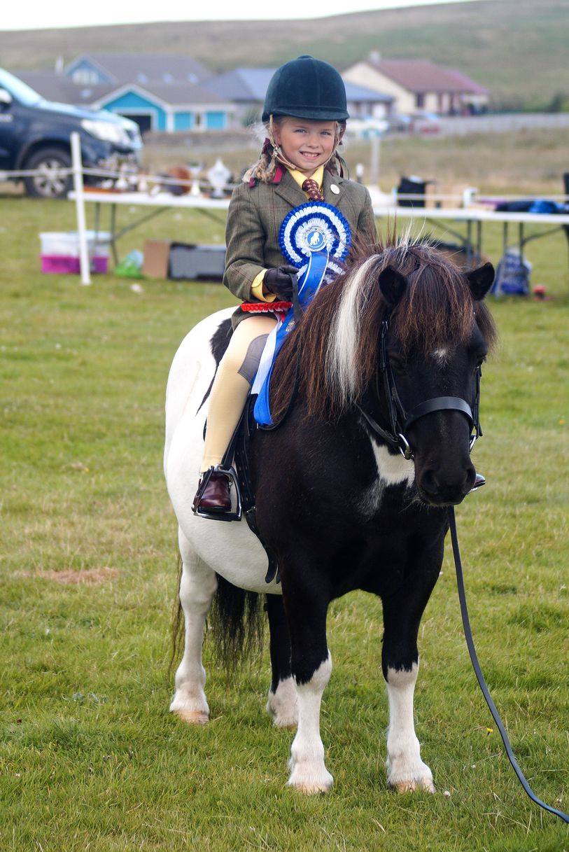 Viking Shetland Pony Show 2018 | Pony Breeders of Shetland Association