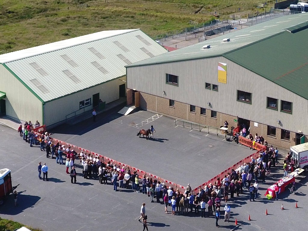 2019 Select Sale of Registered Shetland Ponies | Pony Breeders of ...