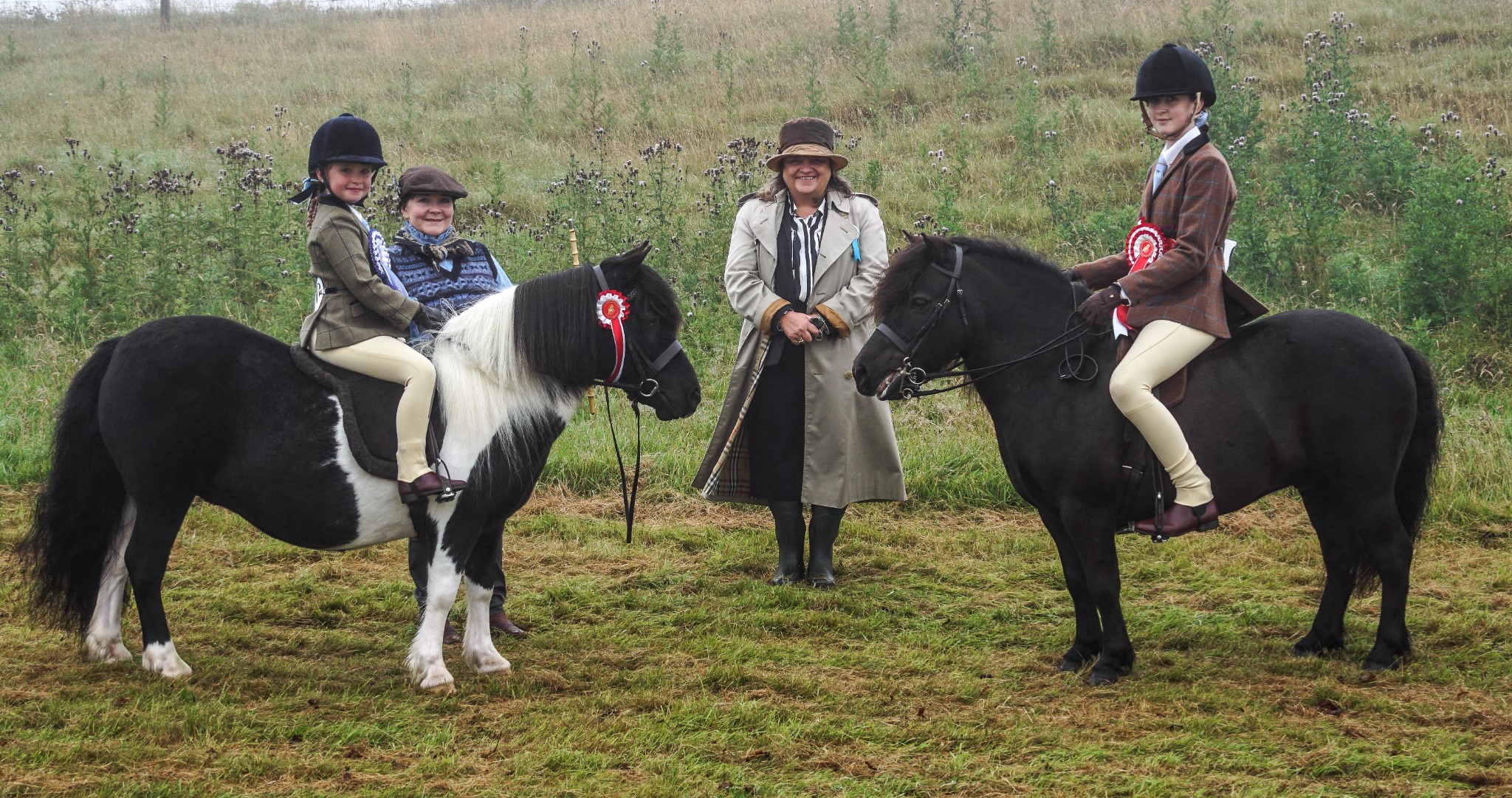 Viking Shetland Pony Show 2021 | Pony Breeders of Shetland Association