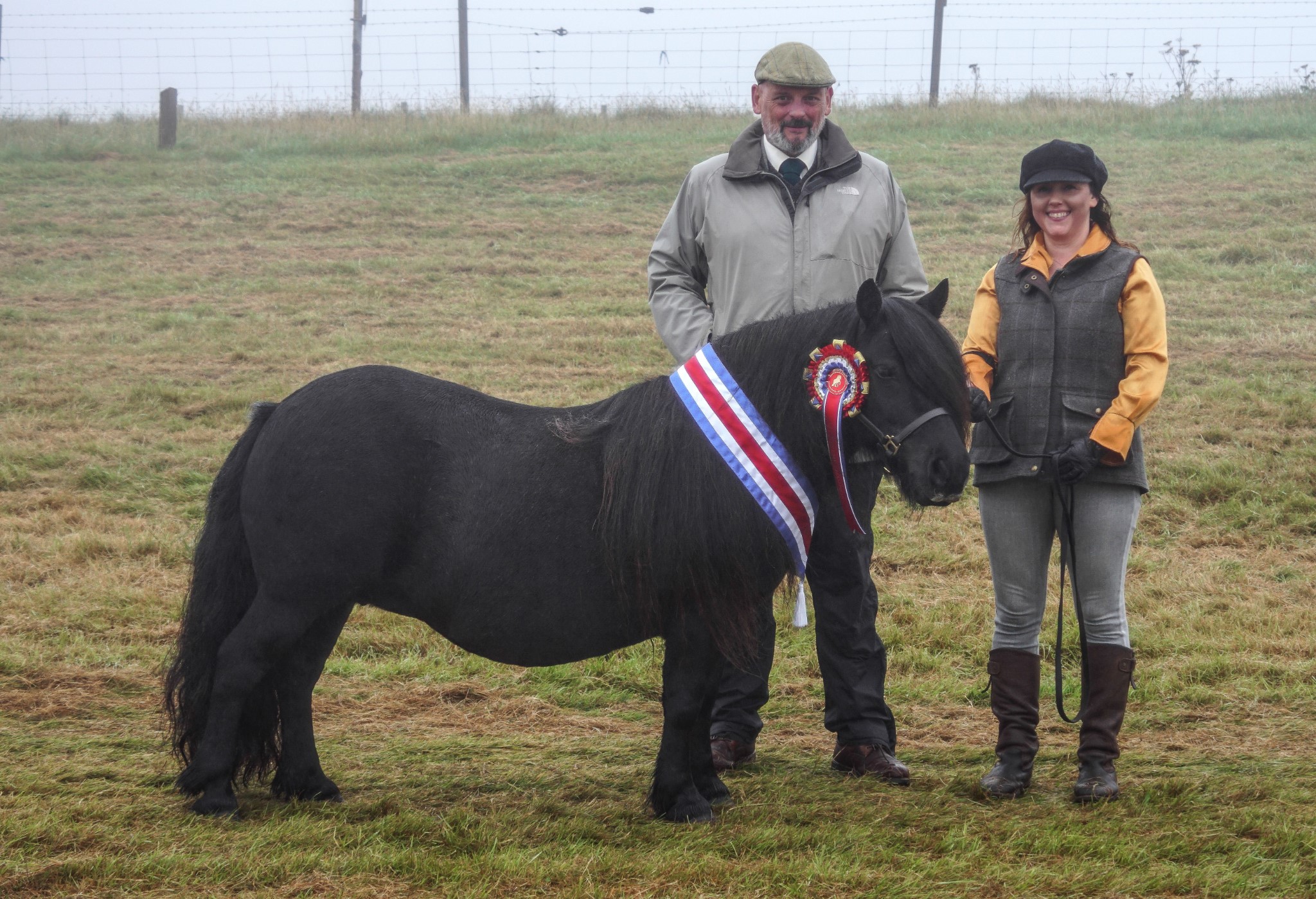 Viking Shetland Pony Show 2021 | Pony Breeders of Shetland Association