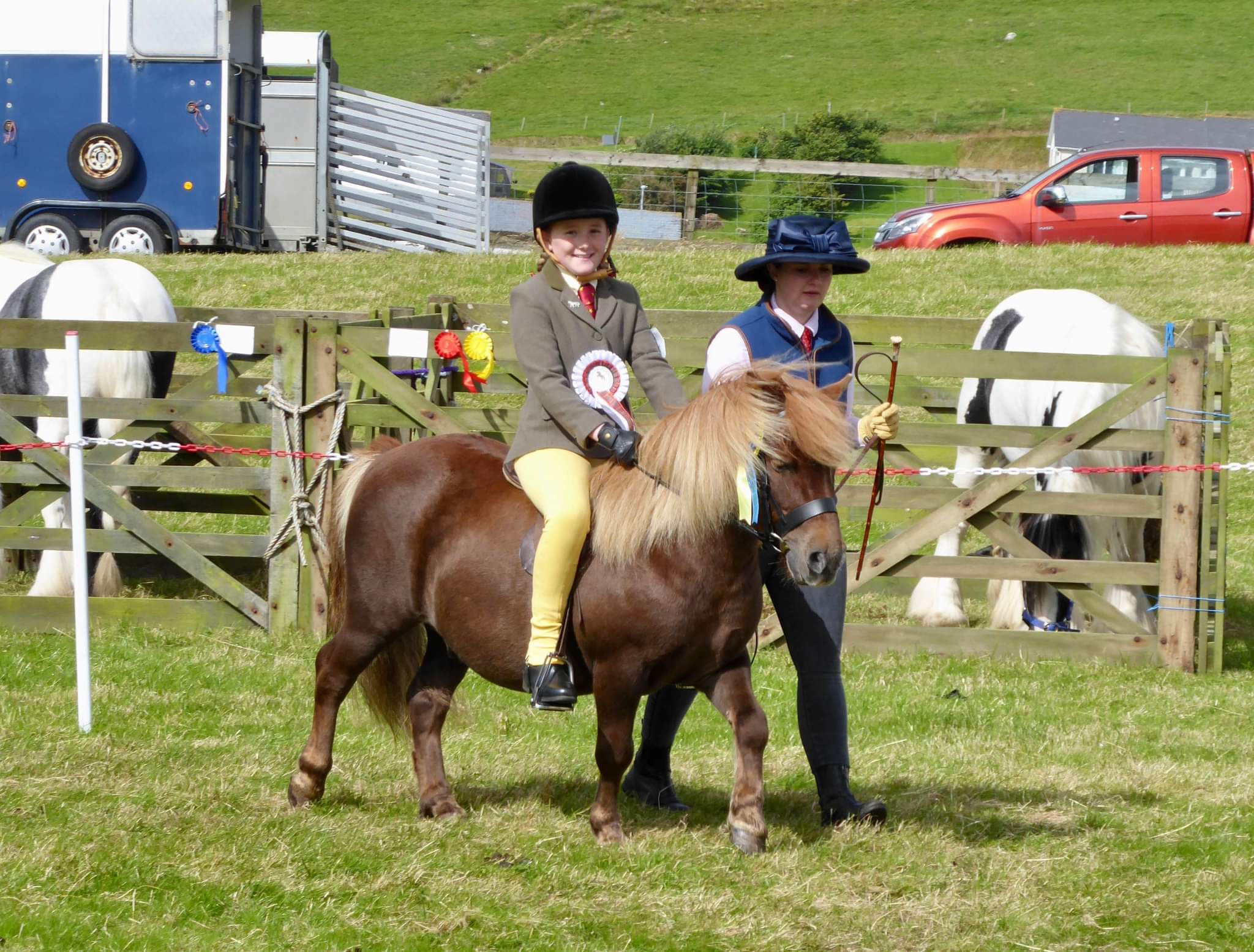 Voe Show 2022 | Pony Breeders of Shetland Association