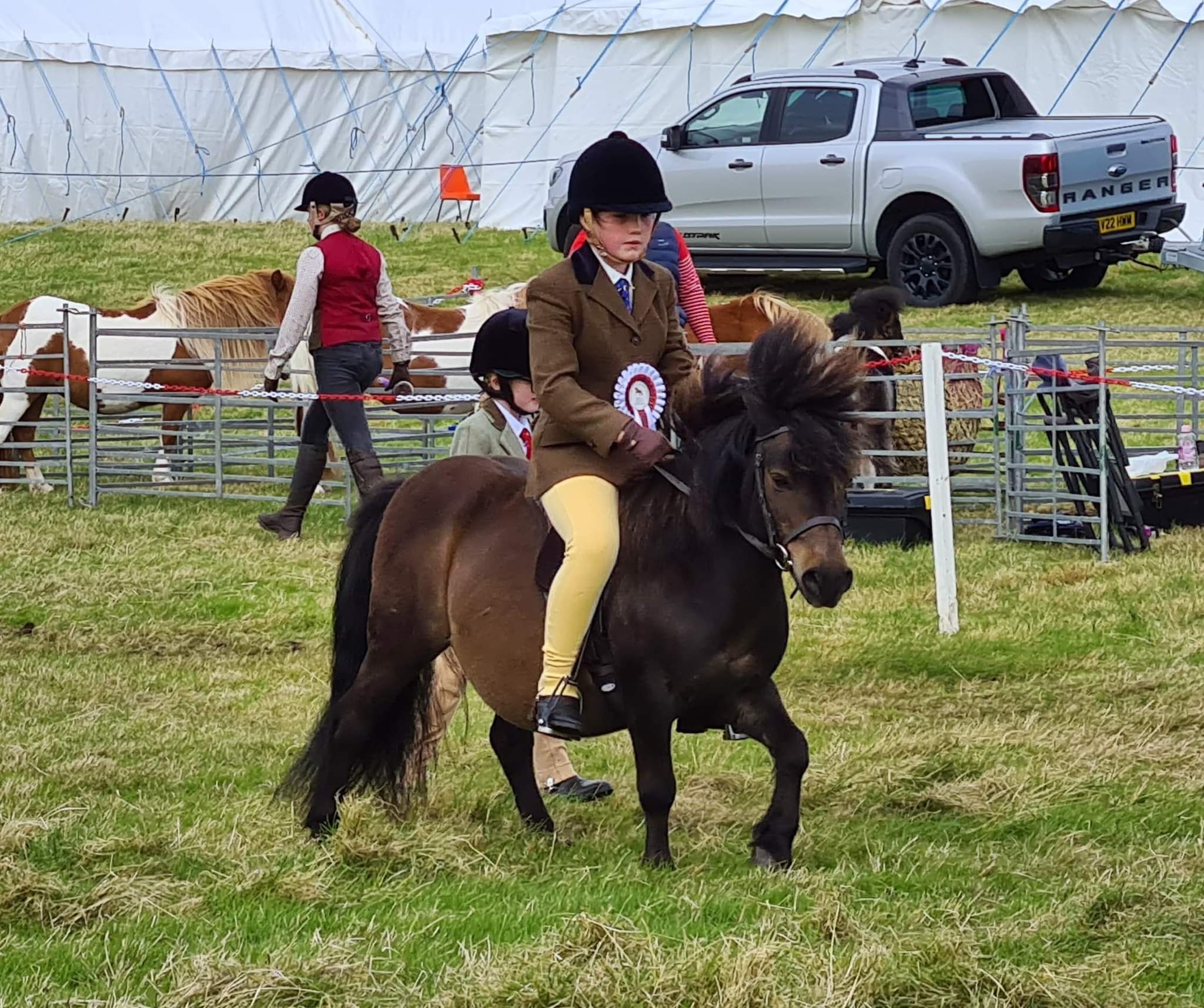 Voe Show 2022 | Pony Breeders of Shetland Association