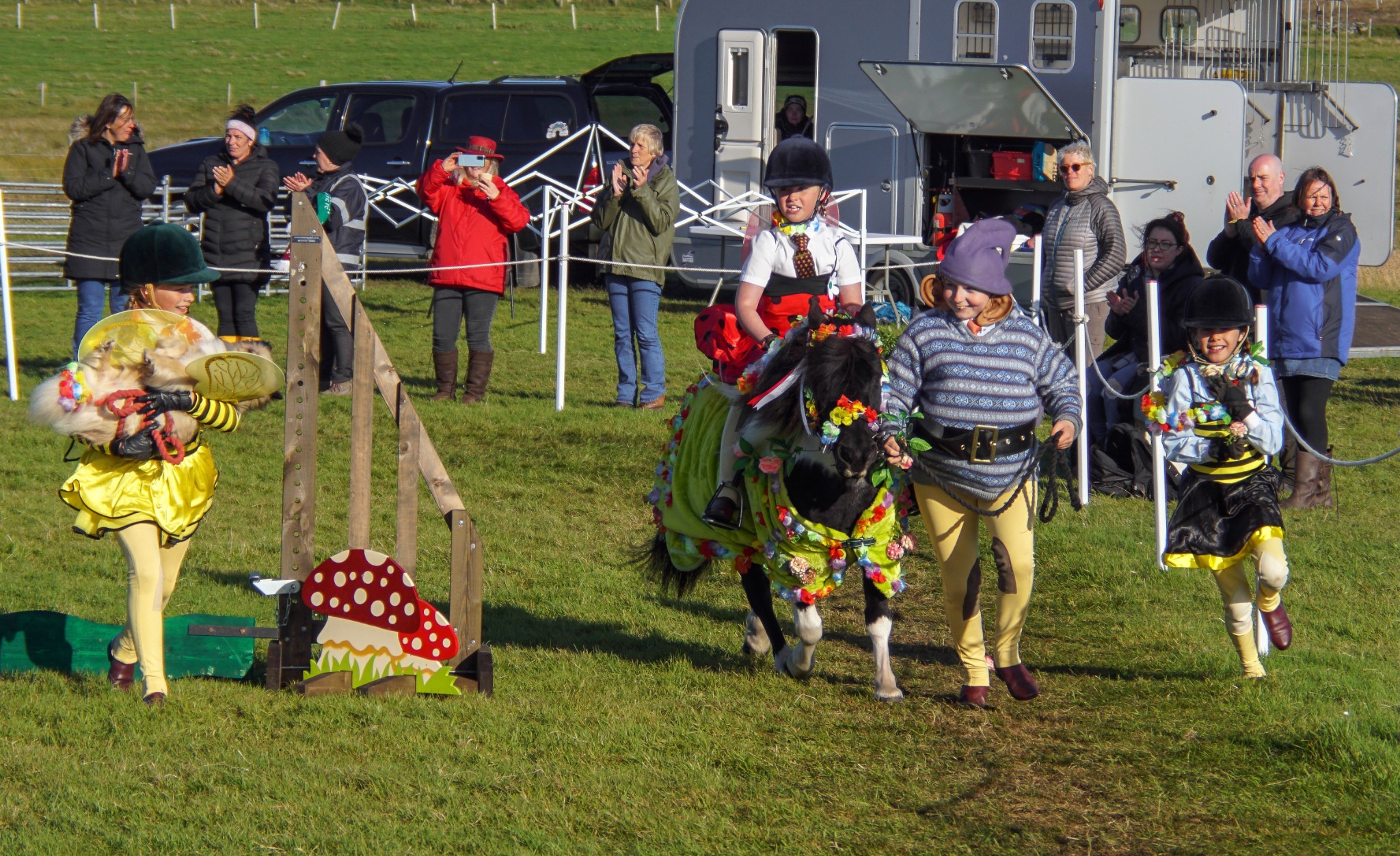 Viking Shetland Pony Show 2022 | Pony Breeders of Shetland Association