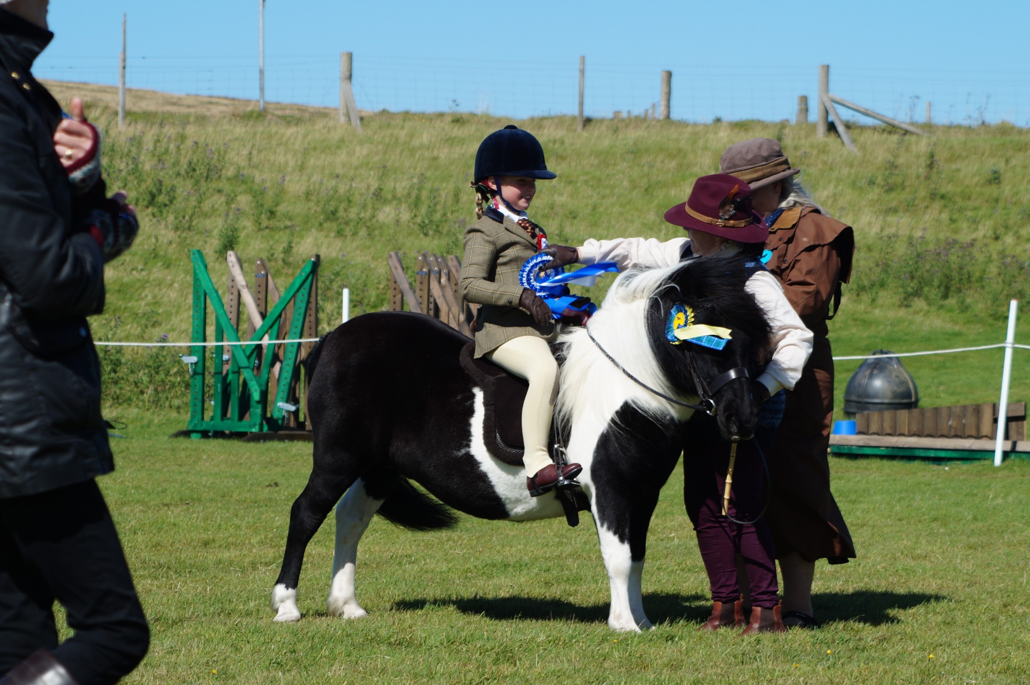 Viking Shetland Pony Show 2022 | Pony Breeders of Shetland Association