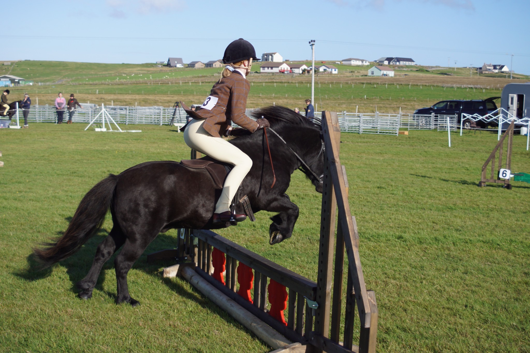 Viking Shetland Pony Show 2022 | Pony Breeders of Shetland Association