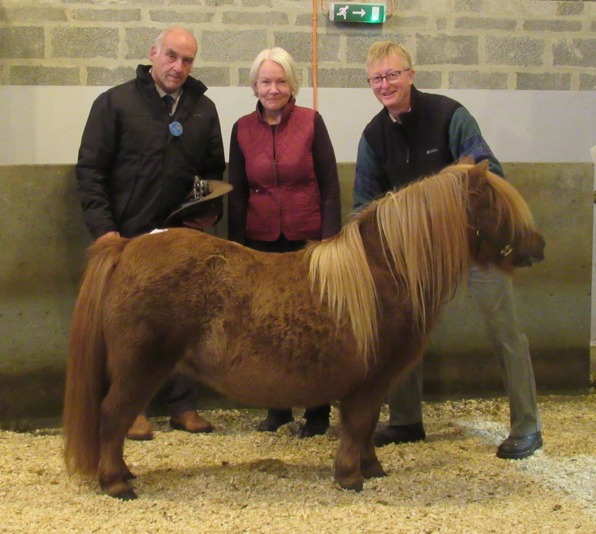 2022 | Pony Breeders of Shetland Association