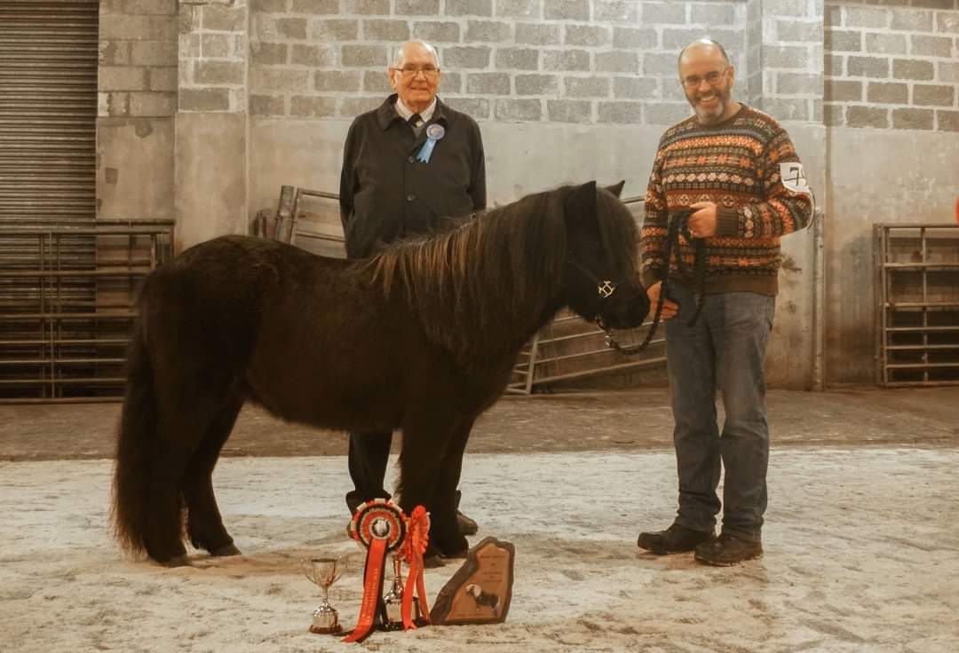 PBSA Youngstock Show 2022 | Pony Breeders of Shetland Association