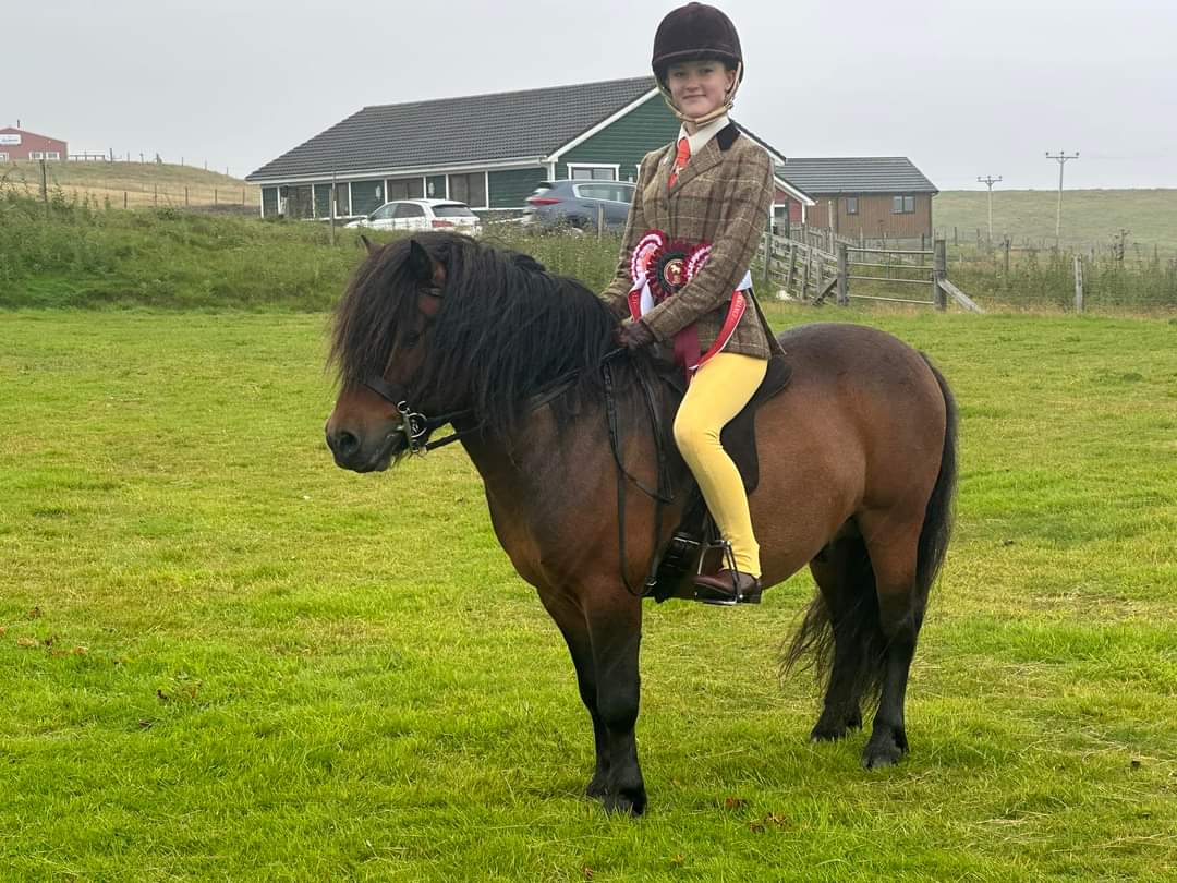 Viking Shetland Pony Show 2023 | Pony Breeders of Shetland Association