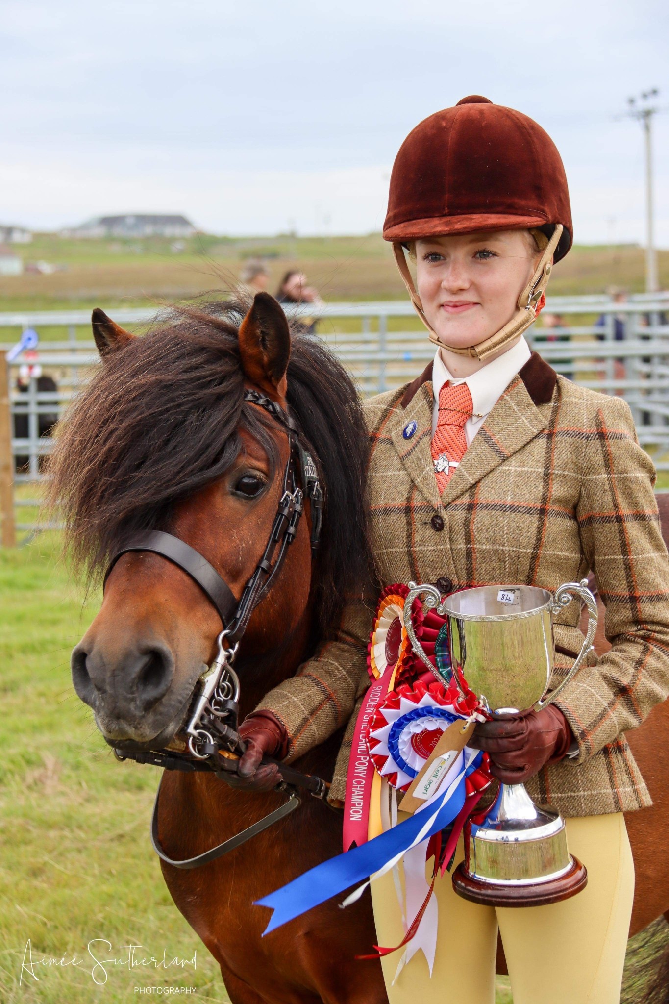 Cunningsburgh Show 2024 | Pony Breeders of Shetland Association